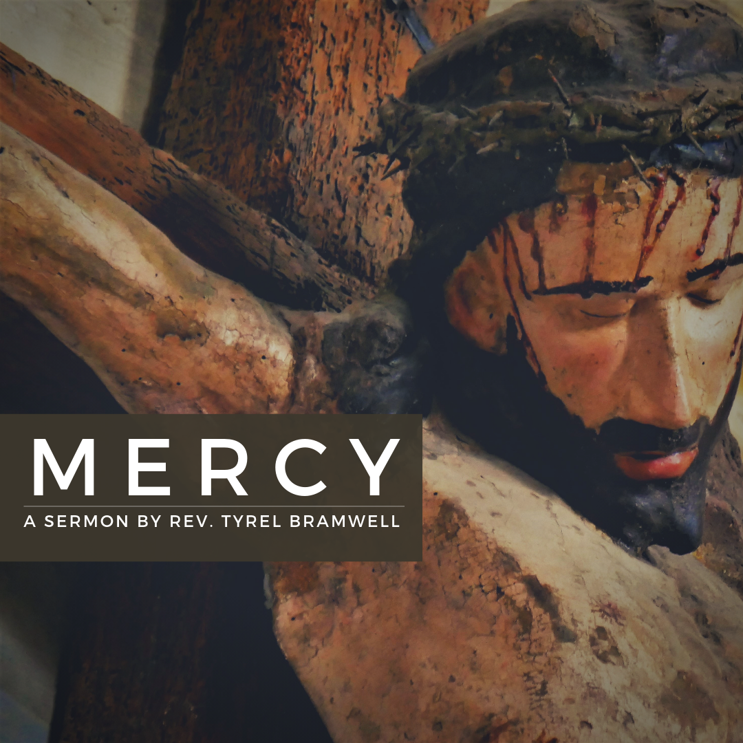 Mercy – A shepherd among sheep and wolves